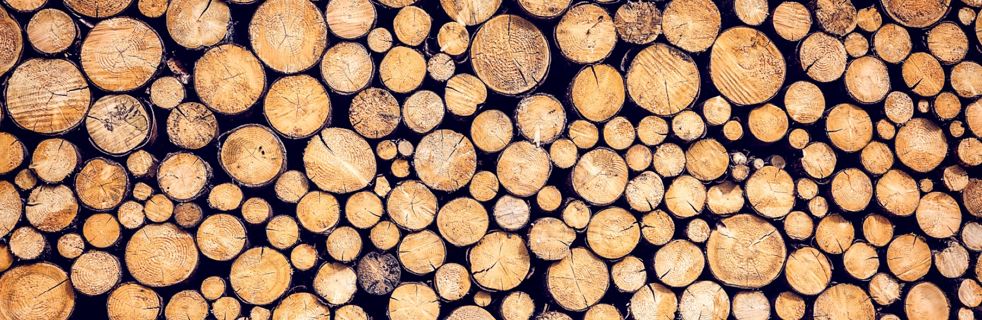 Disclaimer and terms of use – Husqvarna Chainsaw Academy